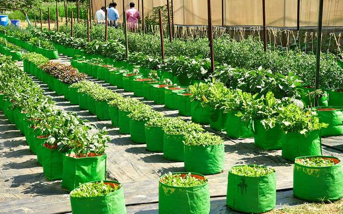 Horticulture & Floriculture